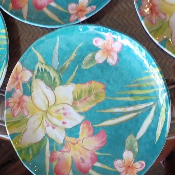 Cynthia Coulter | Dining | Nwot Cynthia Coulter Tropical Melamine ...